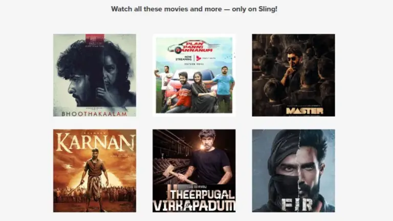 How to Watch South Asian TV Channels in USA [7 Easy Steps]